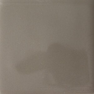 Sample - Solid Glossy / Taupe #1076-L – PSC